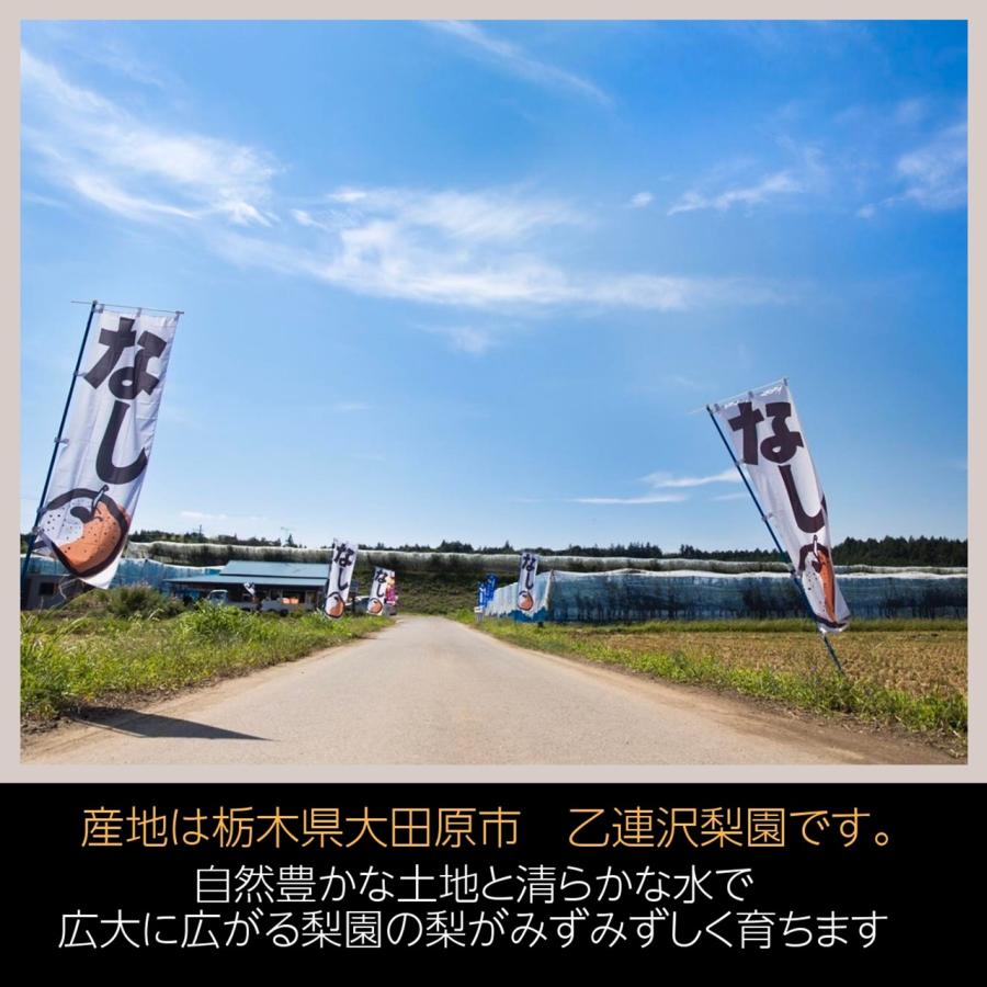 梨 【 乙連沢梨園 】 3kg 5〜7個 贈答用 プレゼント 栃木県 《9/上旬より出荷》 : にこやか産直アーケード - 通販 - Yahoo!ショッピング