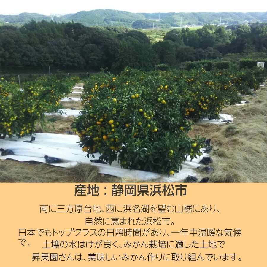 みかん 【昇果園】 S~M 10kg 約100〜130個 贈答用 静岡県 浜松市 蜜柑 ミカン 《10/中旬〜10/下旬より出荷開始》 : にこやか産直アーケード - 通販 - Yahoo ...
