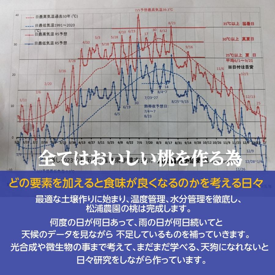 桃 【伊達 松浦農園】 硬い もも 3kg 8〜12個 福島県 伊達市 贈答用 《7/下旬〜8/上旬出荷》 : にこやか産直アーケード - 通販 - Yahoo!ショッピング