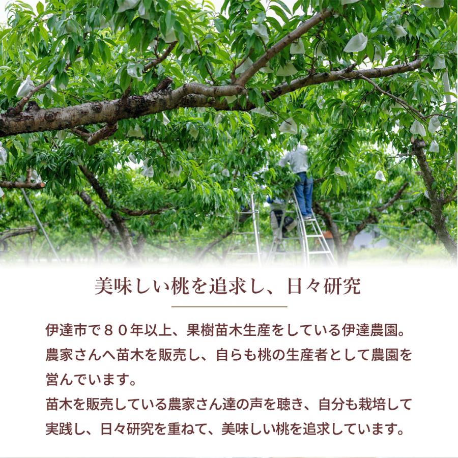 桃 【伊達農園】 品種お任せ 暁星 あかつき 川中島 3kg 9〜12個 もも 福島県 伊達市 《7/中旬〜7/下旬より出荷》 : にこやか産直アーケード - 通販 - Yahoo!ショッピング