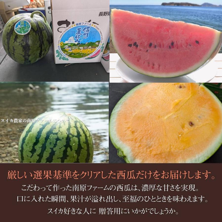 スイカ 【南原ファーム】 高級 波田スイカ 2L〜3L 7〜9kg 長野県松本市 御中元 《7/中旬より出荷》 : にこやか産直アーケード - 通販 - Yahoo!ショッピング