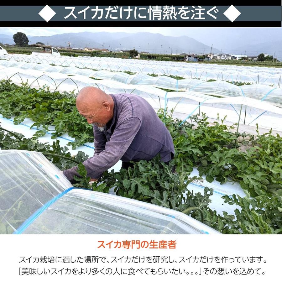 スイカ 【南原ファーム】 高級 波田スイカ 2L〜3L 7〜9kg 長野県松本市 御中元 《7/中旬より出荷》 : にこやか産直アーケード - 通販 - Yahoo!ショッピング