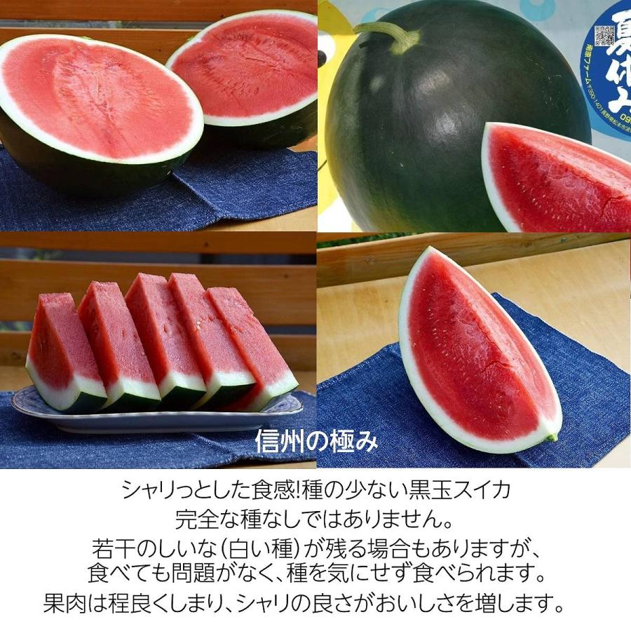 スイカ 【南原ファーム】 高級 波田スイカ 2L〜3L 7〜9kg 長野県松本市 御中元 《7/中旬より出荷》 : にこやか産直アーケード - 通販 - Yahoo!ショッピング