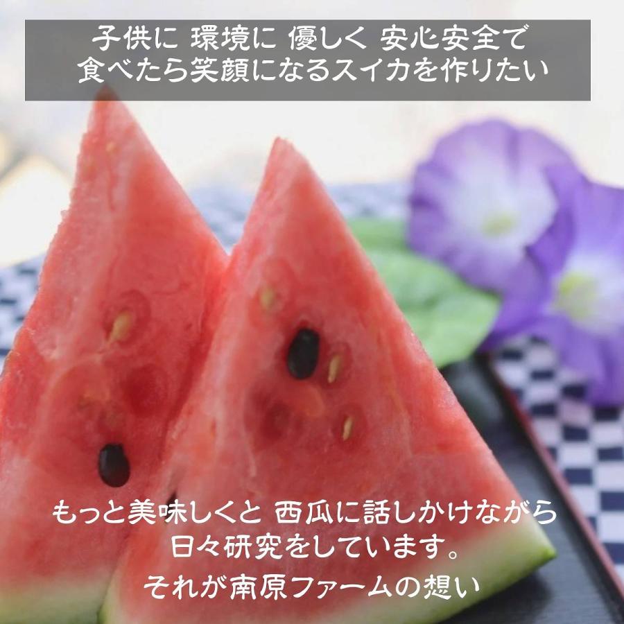 スイカ 【南原ファーム】 高級 波田スイカ 2L〜3L 7〜9kg 長野県松本市 御中元 《7/中旬より出荷》 : にこやか産直アーケード - 通販 - Yahoo!ショッピング