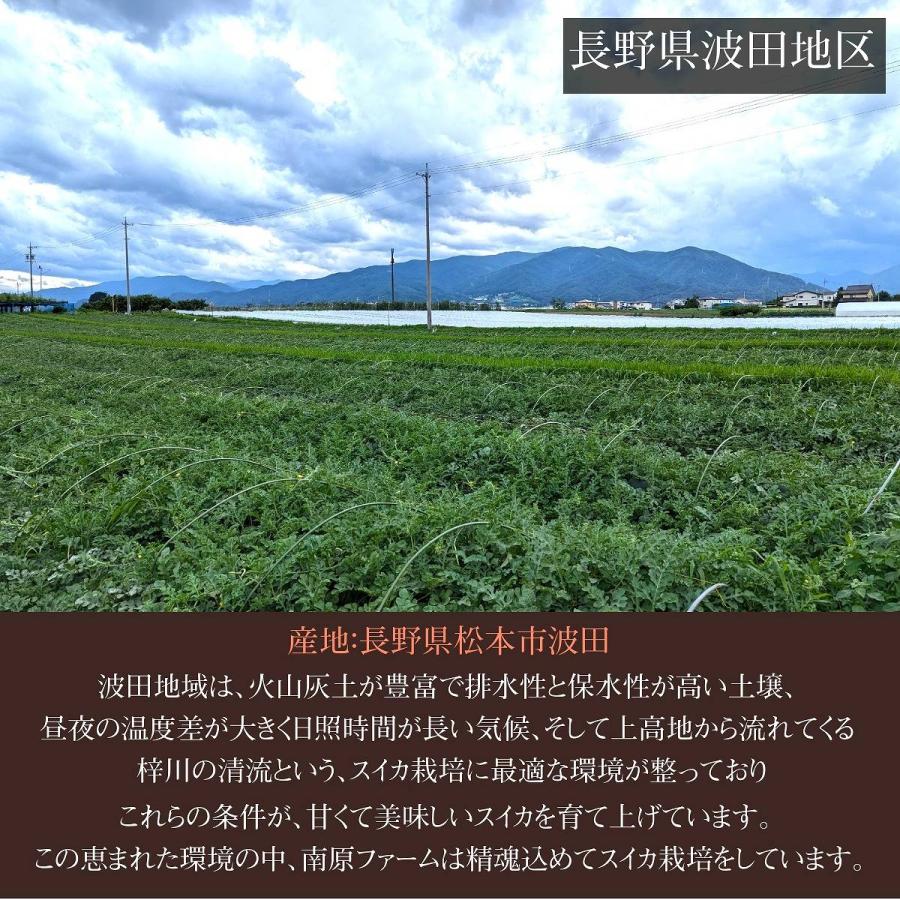 スイカ 【南原ファーム】 高級 波田スイカ 黄肉スイカ 2L〜3L 7〜9kg 長野県松本市 御中元 《7/中旬より出荷》 : にこやか産直アーケード - 通販 - Yahoo!ショッピング