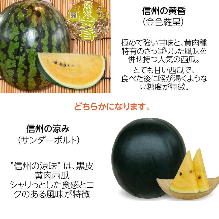スイカ 【南原ファーム】 高級 波田スイカ 黄肉スイカ 2L〜3L 7〜9kg 長野県松本市 御中元 《7/中旬より出荷》 : にこやか産直アーケード - 通販 - Yahoo!ショッピング