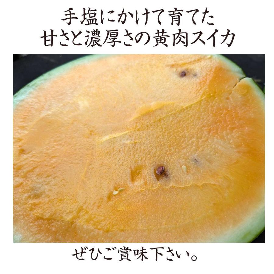 スイカ 【南原ファーム】 高級 波田スイカ 黄肉スイカ 2L〜3L 7〜9kg 長野県松本市 御中元 《7/中旬より出荷》 : にこやか産直アーケード - 通販 - Yahoo!ショッピング