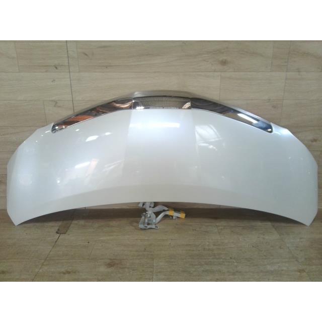 アルファード DBA-ANH20W ボンネットフード フード ボンネット 240S 7人 2AZ-FE 070 53301-58020 : 株式会社SYパーツ部門 - 通販 - Yahoo ...