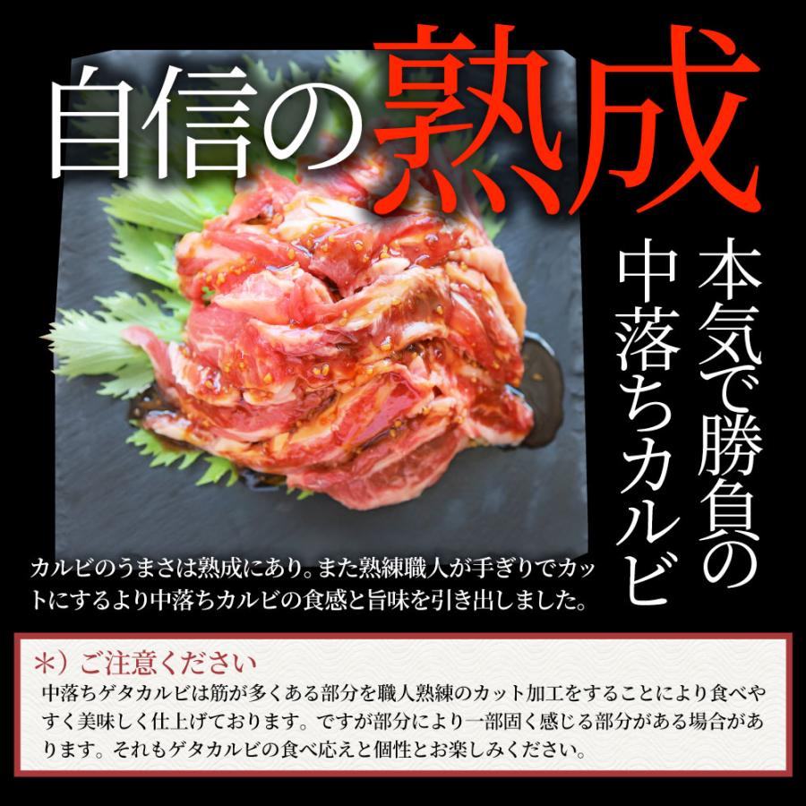 しゃぶまる 中落ち ゲタカルビ 焼肉 500g（250g×2P）牛肉 タレ漬け メガ盛り 希少部位 贅沢 おトク お徳用 送料無料 : お肉のしゃぶまる - 通販 - Yahoo!ショッピング