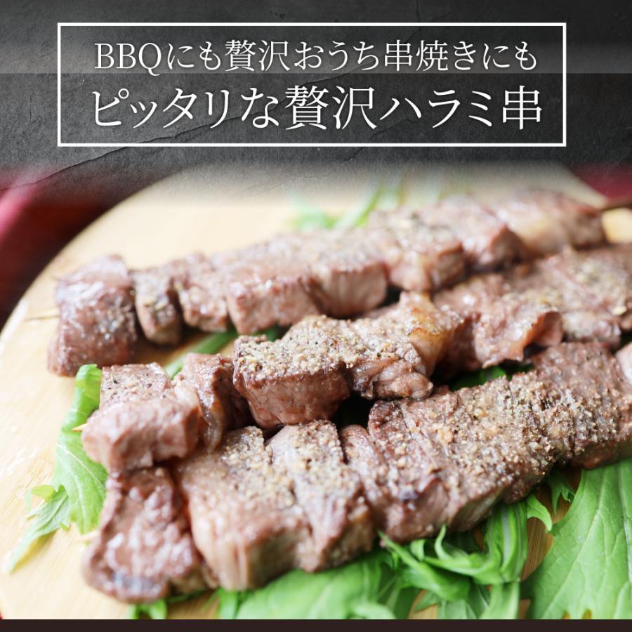 牛ハラミ串 40本セット (合計1.6kg×2) 牛串 肉 牛 ハラミ 学園祭 屋台 業務用 串焼き BBQ バーベキュー キャンプ 冷凍 : お肉のしゃぶまる - 通販 - Yahoo!ショッピング