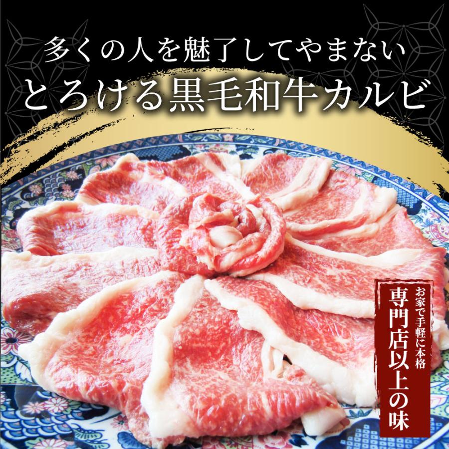 しゃぶまる 牛肉 肉 A4,A5ランク 特選 黒毛和牛 カルビスライス 3kg(300g×10) 凍眠 テクニカン すき焼き しゃぶしゃぶ グルメ 母の日 父の日 ギフト 食品 プレゼント ...