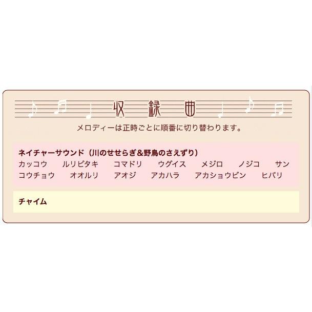 SEIKO セイコー 報時付き 木枠 電波掛け時計 RX214M 薄緑 プレート文字刻印可能 :rx214m:Bef クラブ ヤフー店 ...