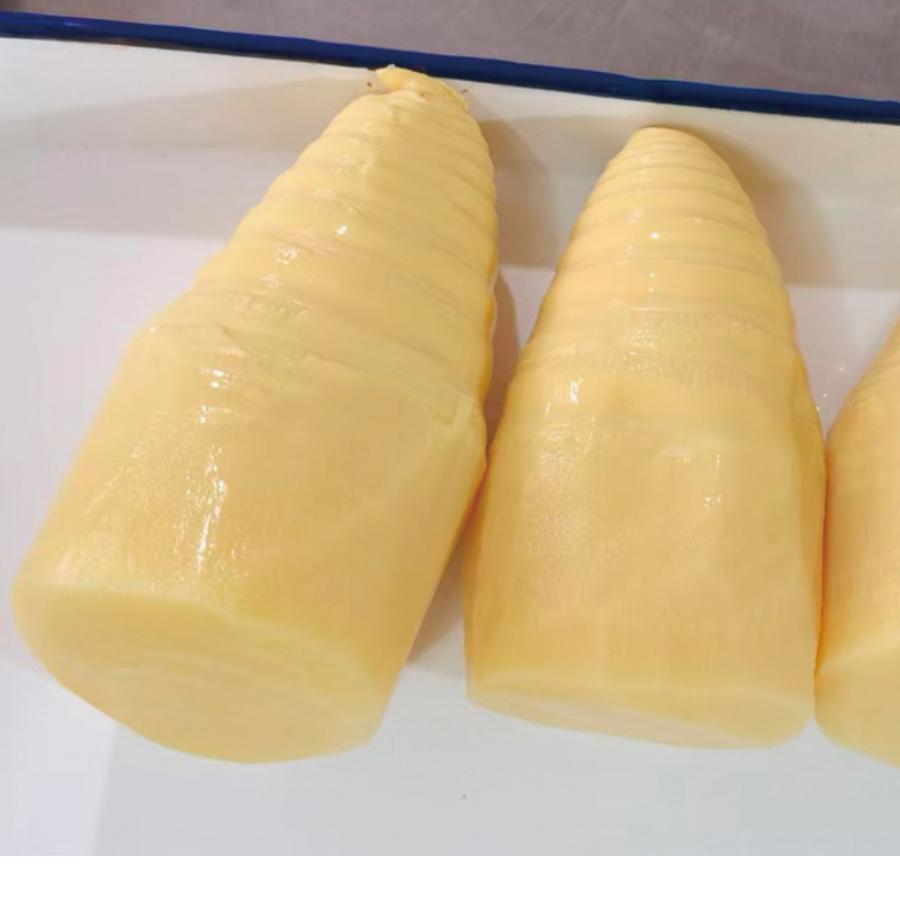 業務用 麻竹ホール 1号缶(固形1800g、内容総量2950g) X027728 食材 たけのこ 竹の子水煮 缶詰 かんづめ : 食彩ネットドライ便 - 通販 - Yahoo!ショッピング