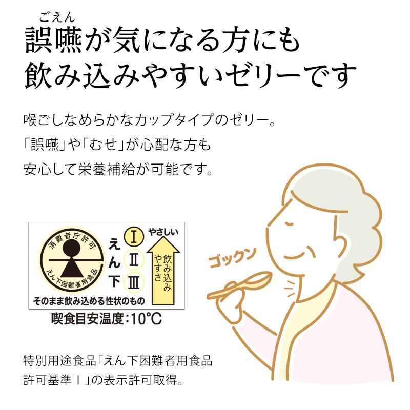 ニュートリー プロッカZn 6種詰め合わせ 77g×30個 :51436049:栄養ケアショップ - 通販 - Yahoo!ショッピング