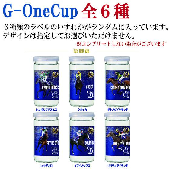 大関 お中元 2025 ギフト 上撰ワンカップ G-OneCup 豪脚編 180ml 5本 兵庫県 大関酒造 日本酒 G1 : 酒楽SHOP - 通販 - Yahoo!ショッピング