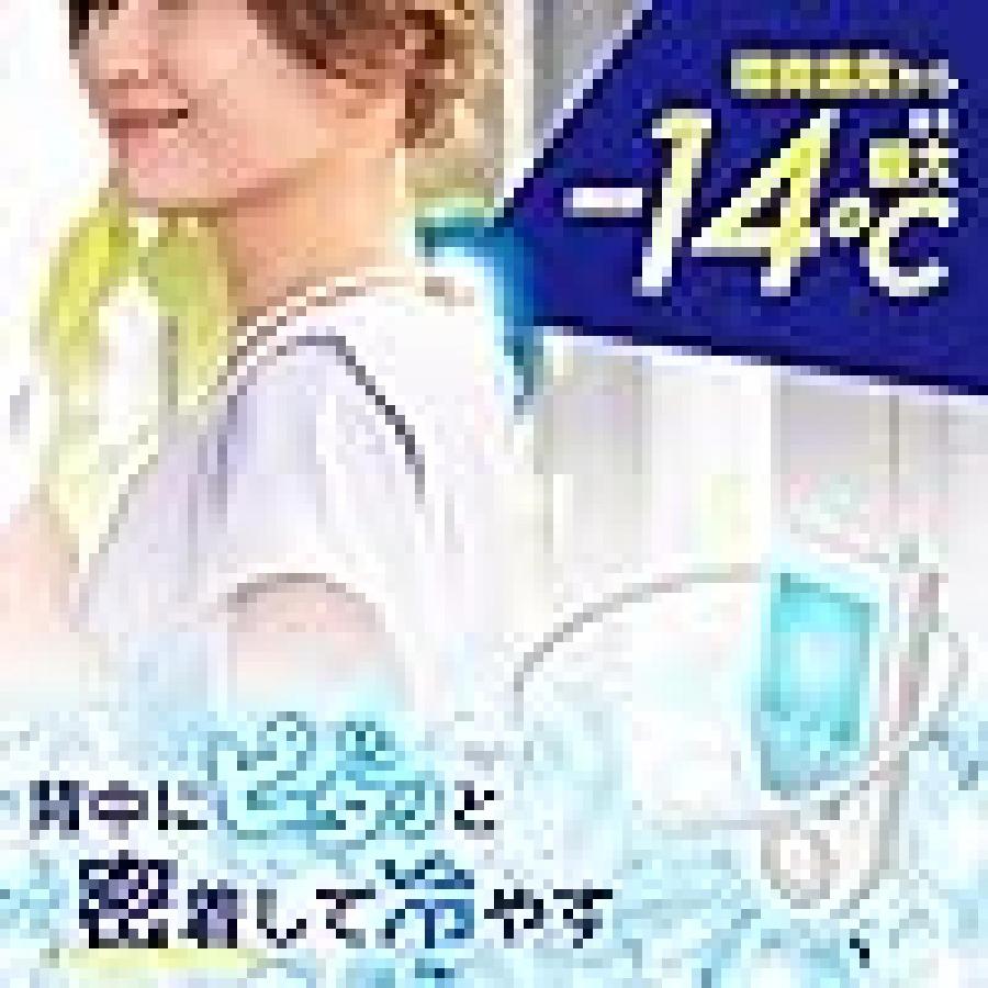 サンコー 【在庫有・即納】THANKO 冷却プレートで背中スッキリ涼しい「セナクールPlus」 SENA24HWH : ダイユーエイト収納ナビ.com - 通販 - Yahoo!ショッピング