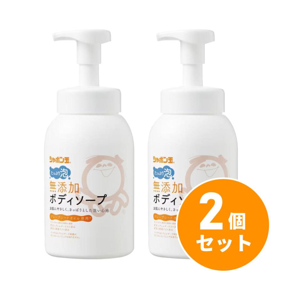 【まとめ買い】シャボン玉石けん 無添加ボディソープたっぷり泡ボトル 570mL×2セット 日本製 せっけん 本体 ボトル : ダイユーエイト収納ナビ.com - 通販 - Yahoo!ショッピング