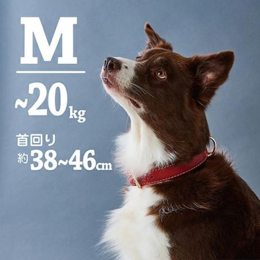 Petio ペティオ 犬用首輪 Porta ポルタ クラシック ソフト レザーカラー30mm レッド 首回り：約38〜46cm 中型犬 いぬ イヌ おしゃれ : ダイユーエイト収納ナビ.com ...