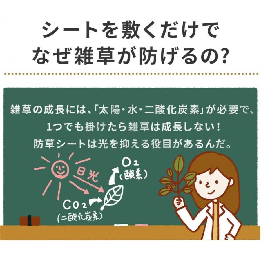 アイリスオーヤマ 防草シート 1m×50m BS-50 ブラック 不織布 遮光率98.5％ 簡単カット 雑草対策 : ダイユーエイト収納ナビ.com - 通販 - Yahoo!ショッピング