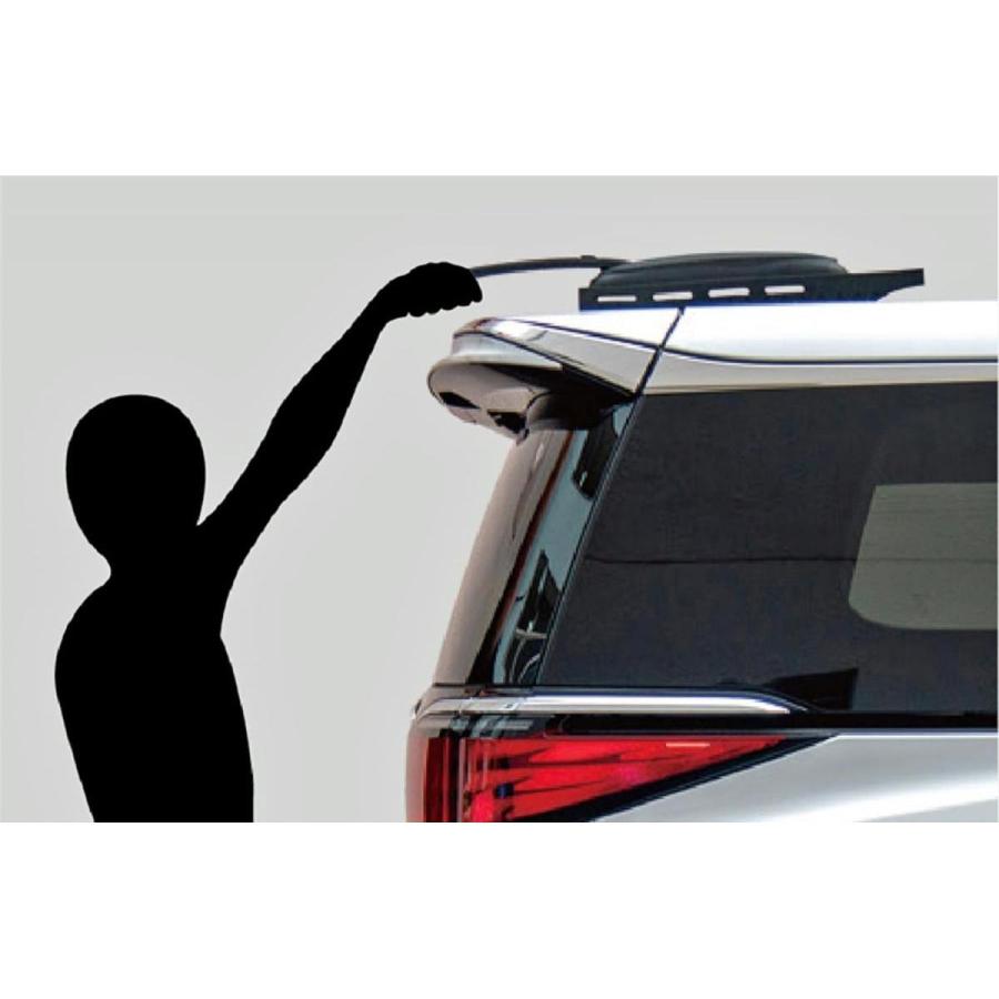 ソフト99 SOFT99 ALAUNEN アラウネン ながロングスポンジ 02905 車 洗車 スポンジ 長 伸縮 ビッグスポンジ 時短洗車 : ダイユーエイト収納ナビ.com - 通販 ...