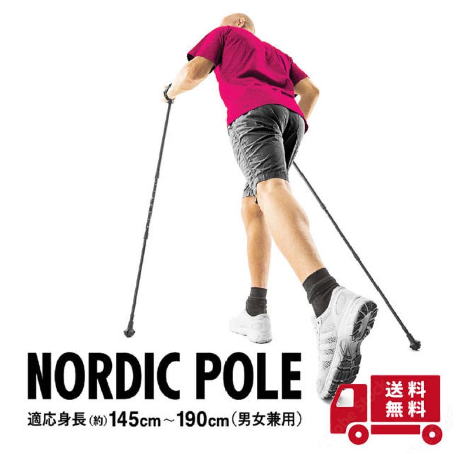 La-VIE(ラヴィ) ノルディックポール ブラック 2本セット 3B-3195 トレーニング 健康器具 癒し リラックス : ダイユーエイト収納ナビ.com - 通販 - Yahoo!ショッピング