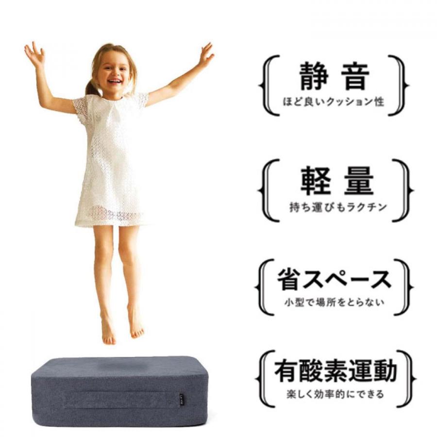 La-VIE(ラヴィ) クッショントランポリン トランポ！ 3B-4830 トレーニング 健康器具 癒し リラックス : ダイユーエイト収納ナビ.com - 通販 - Yahoo!ショッピング