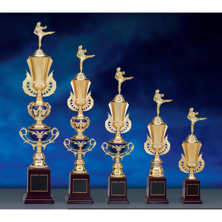 【全品10倍！】ポイントup中-樹脂製トロフィー SY-T-1914 - Cサイズ（B-1） | 優勝トロフィー カップ コンペ 景品 表彰 ゴルフ 記念 サッカー 野球 テニス メダ ...