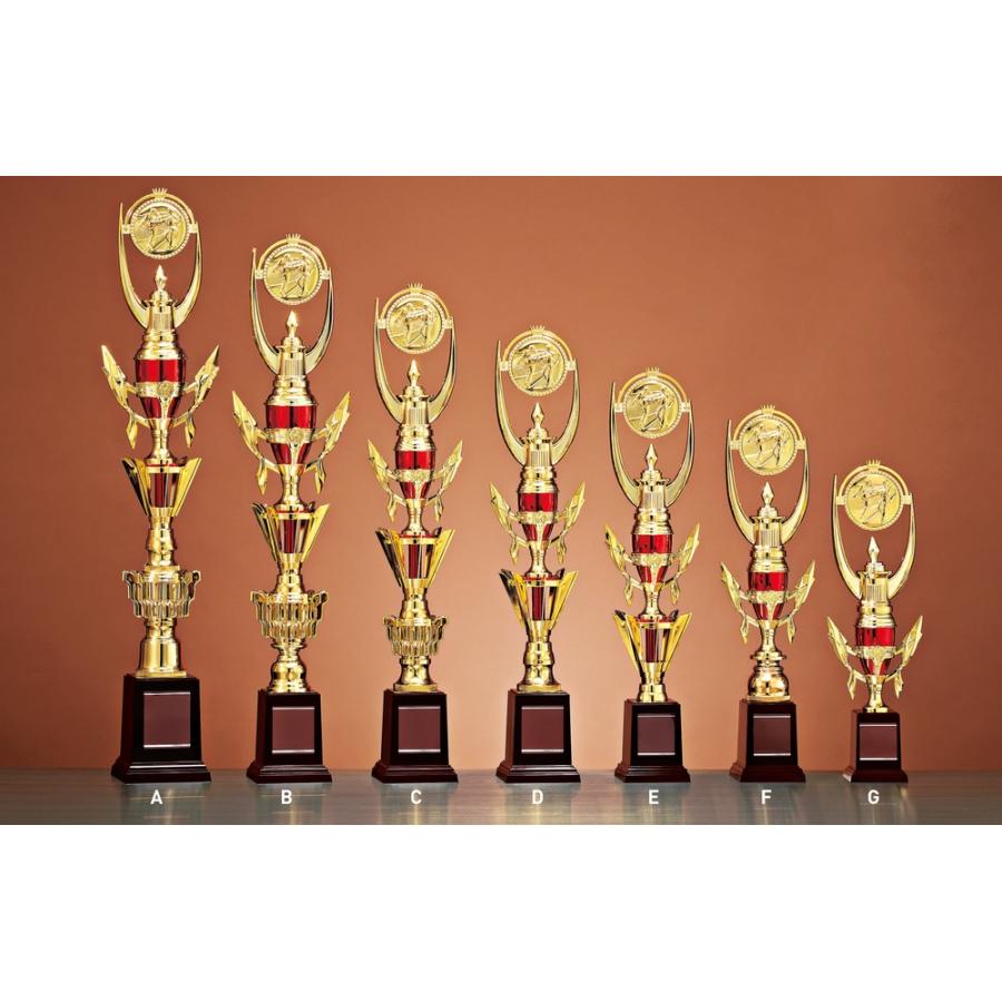 【全品10倍！】ポイントup中-145種目から選べるトロフィー S-TRZ-3371 - Eサイズ（#P16） | トロフィー 優勝 楯 盾 表彰楯 バスケ サッカー 野球 卓球 柔道 剣 ...
