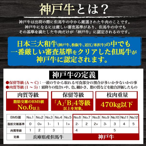 神戸ビーフ A5 A4ランク 神戸牛 ミンチ ひき肉 1kg (500gx2パック) 真空パック 小分け包装 黒毛和牛 国産 牛肉 牛ミンチ 100%ビーフ グルメ ギフト 冷凍配送 : お ...