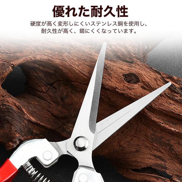 芽切ばさみ ステンレス銅 107g 軽量 ギザ刃 家庭用 ハサミ 工具 裁断機 カッター ハンドツール DIY 園芸用品 農園 家庭菜園 キャンプ アウトドア : pt1-173-01 : お ...