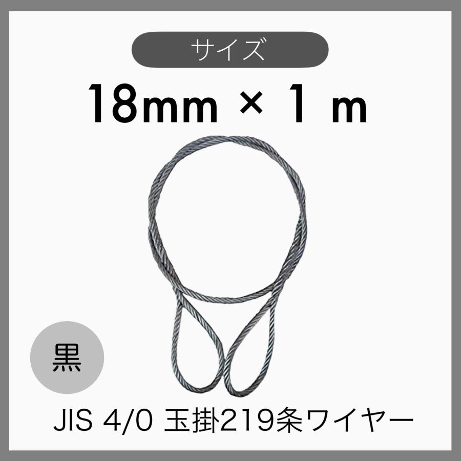 1本 JIS O/O 黒 玉掛けワイヤー 玉掛索 219条ワイヤー 編み込み 輸入品 18mm×1m : TACマテリアル - 通販 - Yahoo!ショッピング