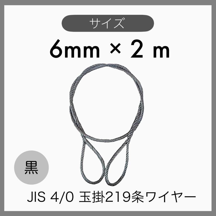 2本組 JIS O/O 黒 玉掛けワイヤー 玉掛索 219条ワイヤー 編み込み 輸入品 6mm×2m : TACマテリアル - 通販 - Yahoo!ショッピング