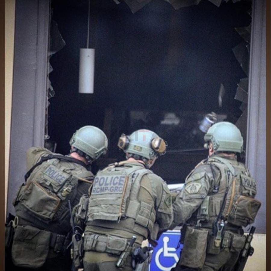 TYR TACTICALタイプ HORIZONTAL ASSAULTER'S ZIP-ON バックパネル / 単色 : MILITAC ...