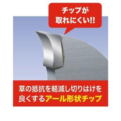ツムラ(工具) (25枚セット特価) ツムラ チップソー R型 255mm×36P 下刈・草刈用 驚異の切れ味 業界No.1 津村鋼業 : ザ・タッキーYahoo!店 - 通販 - Yahoo ...
