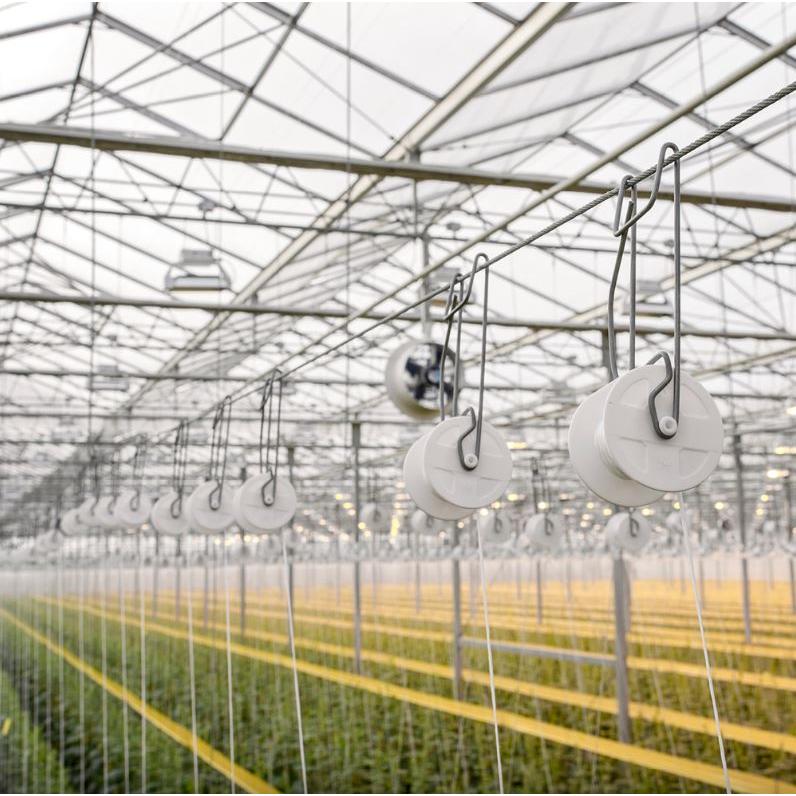 (10個セット 白・黒選択) パスカル トマト誘引フック ローラーフック 32m(36m)紐付き トマト誘引具 zm : ザ・タッキーYahoo!店 - 通販 - Yahoo!ショッピング