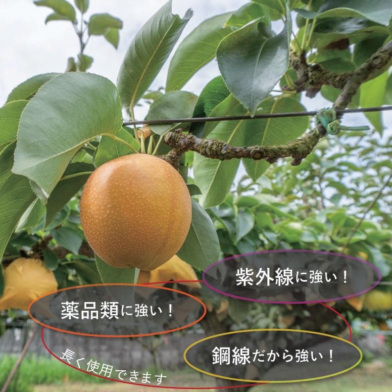 トワロン 果樹用被覆ワイヤ TB-G40-2.2-1.6 外径2.2mm 芯径1.6mm 長さ2000m 37kg (カラーワイヤー 半鋼線 カラー鉄線 果樹専用張線 TWEN EN線 ...