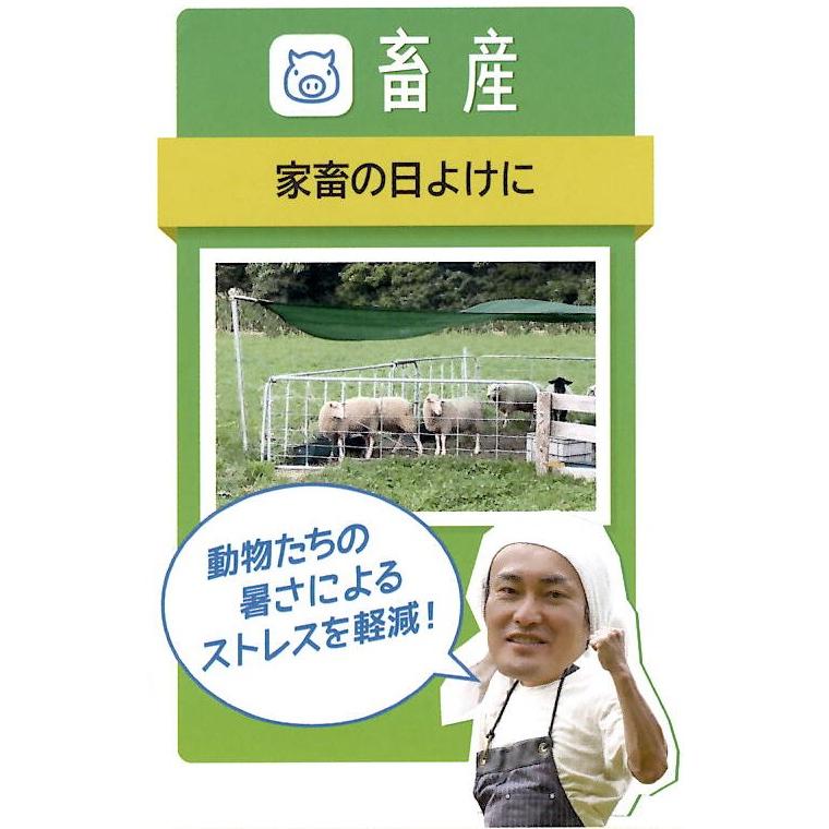 日本マタイ 昇温抑制遮光ネット 幅2m×長さ50m モスグリーン色 遮光率