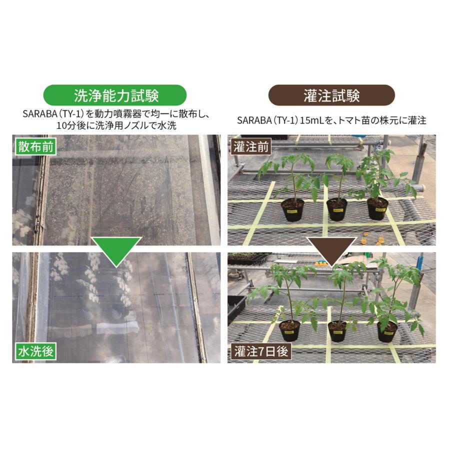 温室専用洗浄剤 ハウス汚れSARABA (TY-1: A剤1800g B液18L) TY1 ハウス洗浄剤 ガラス温室 ビニールハウス 専用クリーナー パネフリ工業 : ザ・タッキーYahoo ...