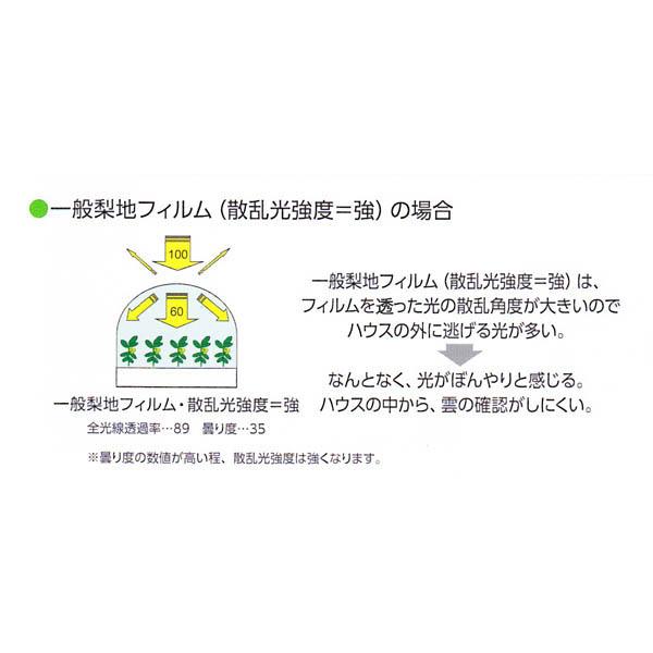 (厚さ0.1mm×幅230cm) 美サンランイースター 耐久塗布無滴散乱光 農POフィルム ※価格はm単価です。ご希望の長さ(m)を数量欄に入力してください : ザ・タッキーYahoo!店 ...