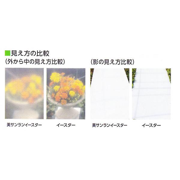 (厚さ0.1mm×幅230cm) 美サンランイースター 耐久塗布無滴散乱光 農POフィルム ※価格はm単価です。ご希望の長さ(m)を数量欄に入力してください : ザ・タッキーYahoo!店 ...