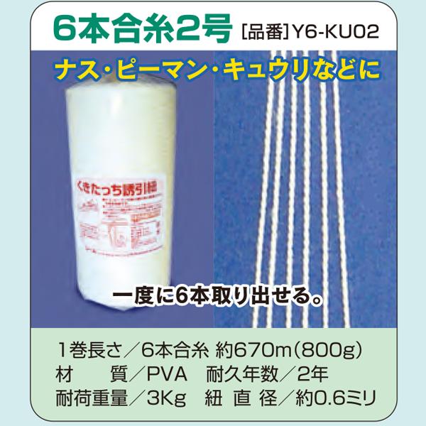 ブランド登録なし 誘引資材 くきたっち誘引紐 6本合糸2号 Y6-KU02 （レターパックで発送予定） : ザ・タッキーYahoo!店 - 通販 - Yahoo!ショッピング