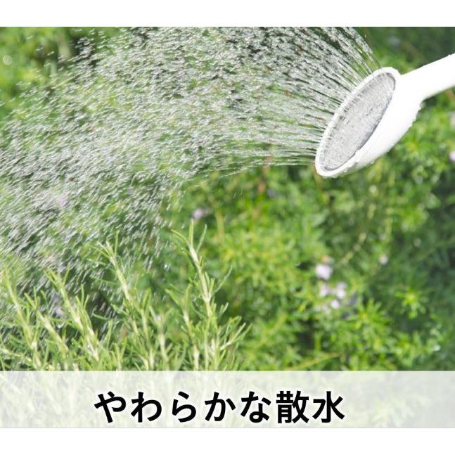 (3個セット) 新輝合成 トンボ じょうろ 8型 8L グリーン (zsイ) : ザ・タッキーYahoo!店 - 通販 - Yahoo!ショッピング