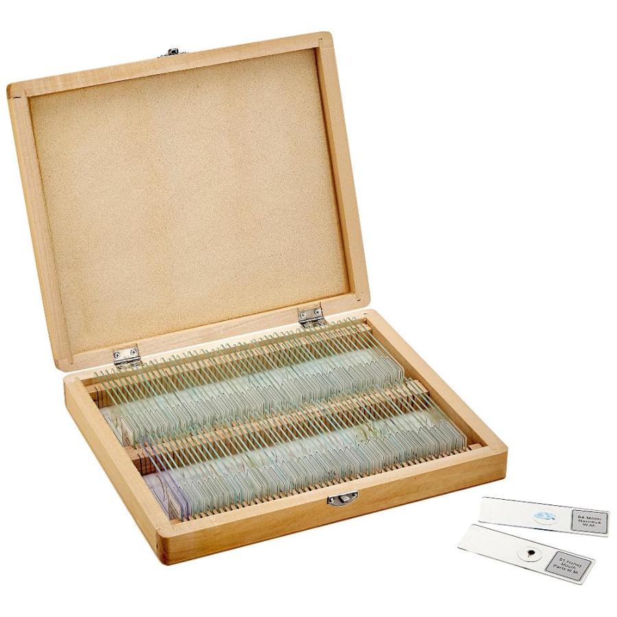 Celestron 44412 Prepared Microscope Slides (100-Piece Set) by : タクトショップ ...