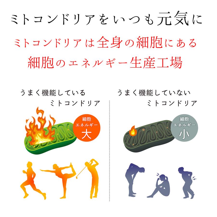 TAIKEIDO YAKUHO NMN+5-ALA 120粒 : 4573145240908 : 大慶堂さんあい薬局Yahoo!店 - 通販 - Yahoo!ショッピング