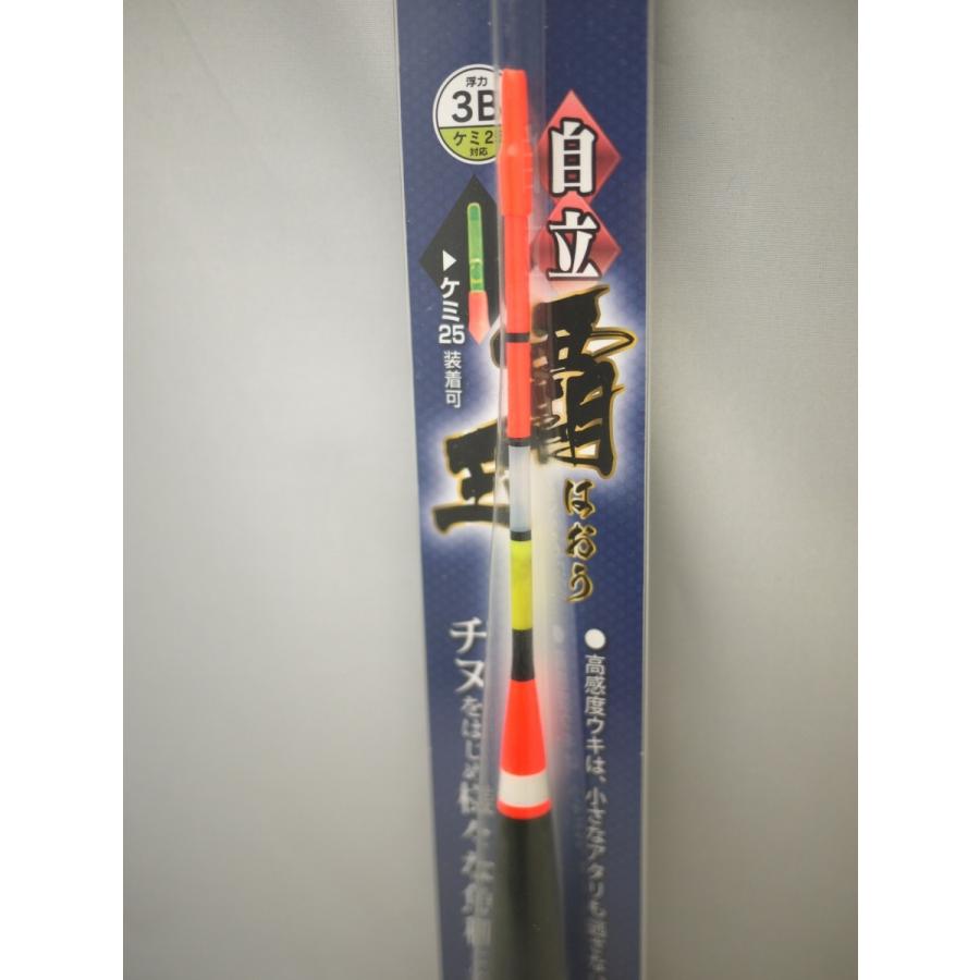 自立 覇王 3B 遠投 (M20) : 大漁釣具 - 通販 - Yahoo!ショッピング