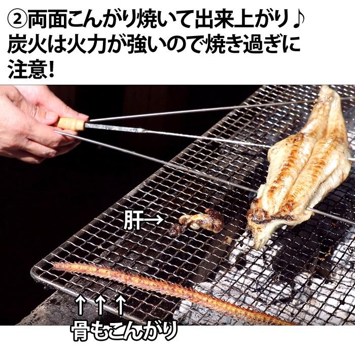 生うなぎ 活き締め 1尾約300gX2尾（ 愛知県もしくは台湾産 養殖 ）骨、肝、タレ付き バーベキューにも ( 鰻 ウナギ ) : 瀬戸内たいたいCLUB - 通販 - Yahoo!ショッピング