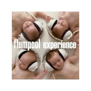限定版 flumpool（フランプール）「experience」CD（台湾版）中国語作品五月天（メイデイ）作品特別収録 : flumpool-cd-experience-tw : 台湾 ...