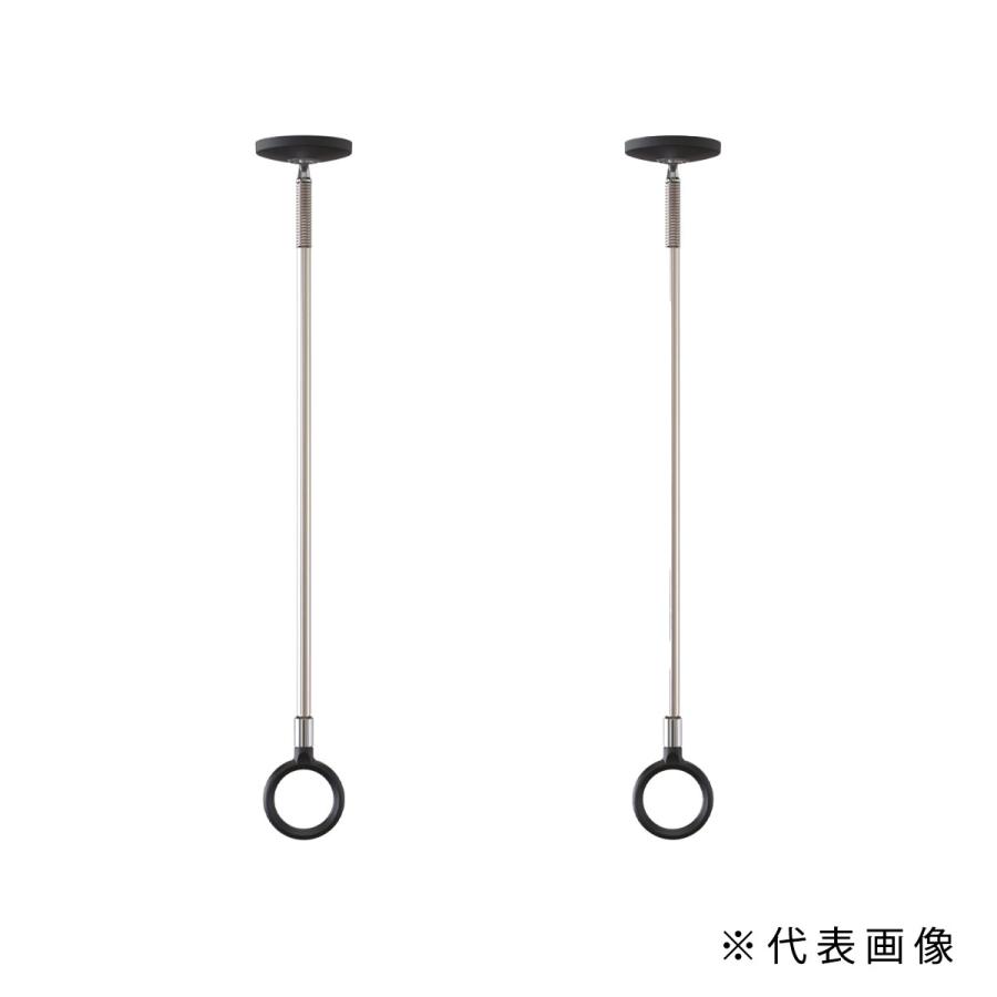 川口技研 室内物干し ホスクリーン SPCL-BK 2本入り ブラック 長さ/840ミリ(660ミリ、750ミリ、840ミリの3段階に調整可能) : 高橋本社Yahoo!店 - 通販 ...