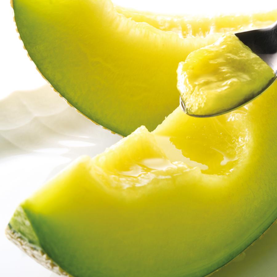 新宿高野 ギフト お祝い 内祝い お返し 手土産 結婚祝い 出産祝い 【公式】 大玉マスクメロン2個入 #11051 : 新宿高野 - 通販 - Yahoo!ショッピング