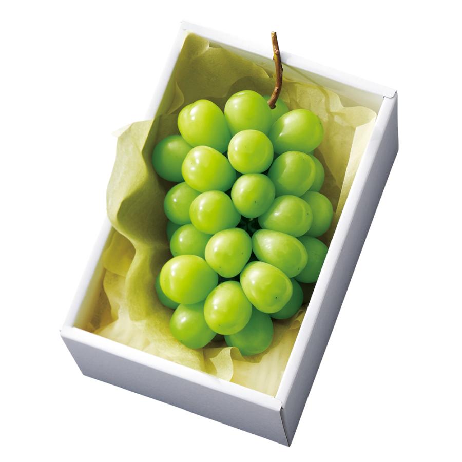 新宿高野 安心院シャインマスカット #13239 : 新宿高野 - 通販 - Yahoo!ショッピング